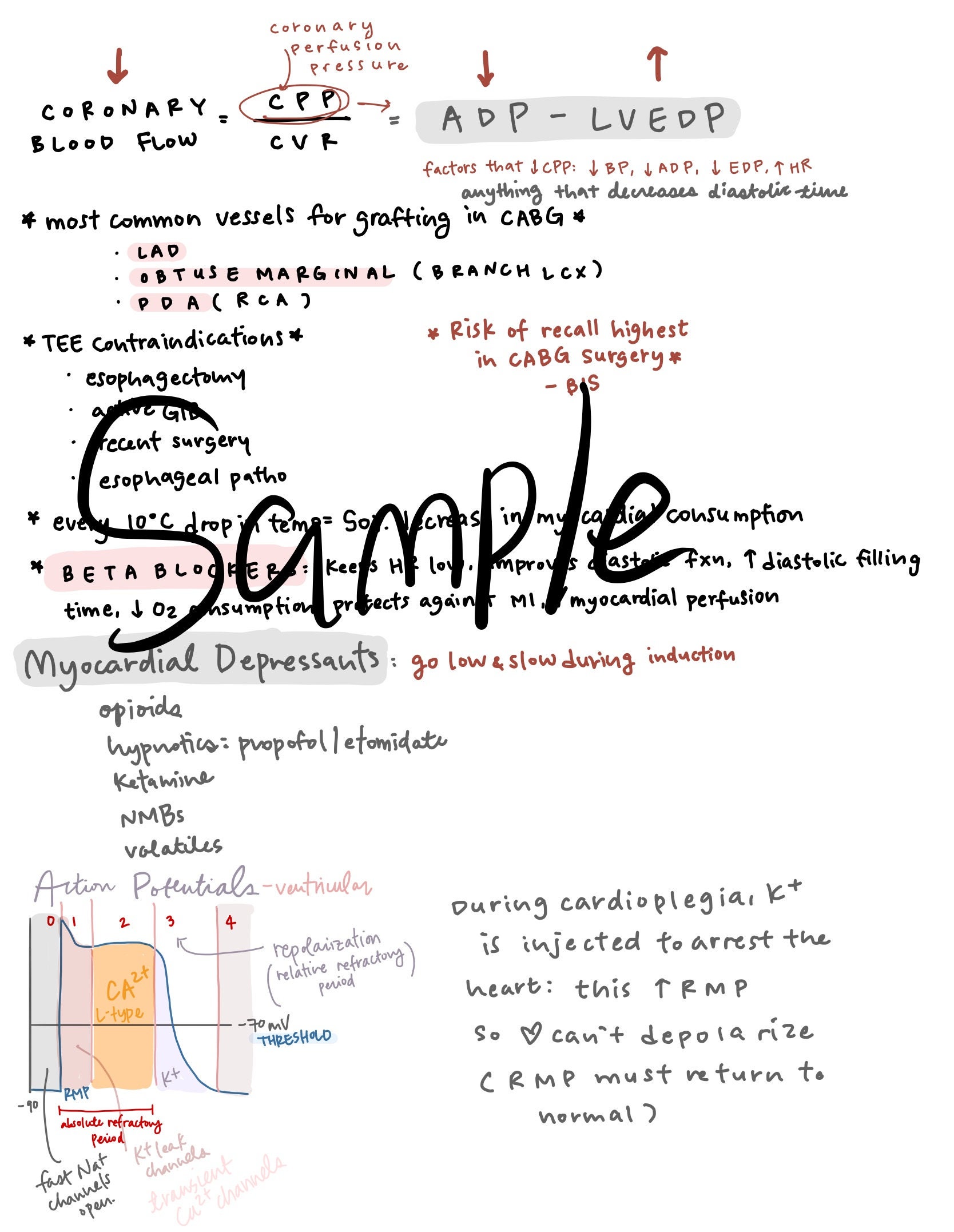 Cardiac Anatomy, Monitoring, Anesthesia Notes - Etsy