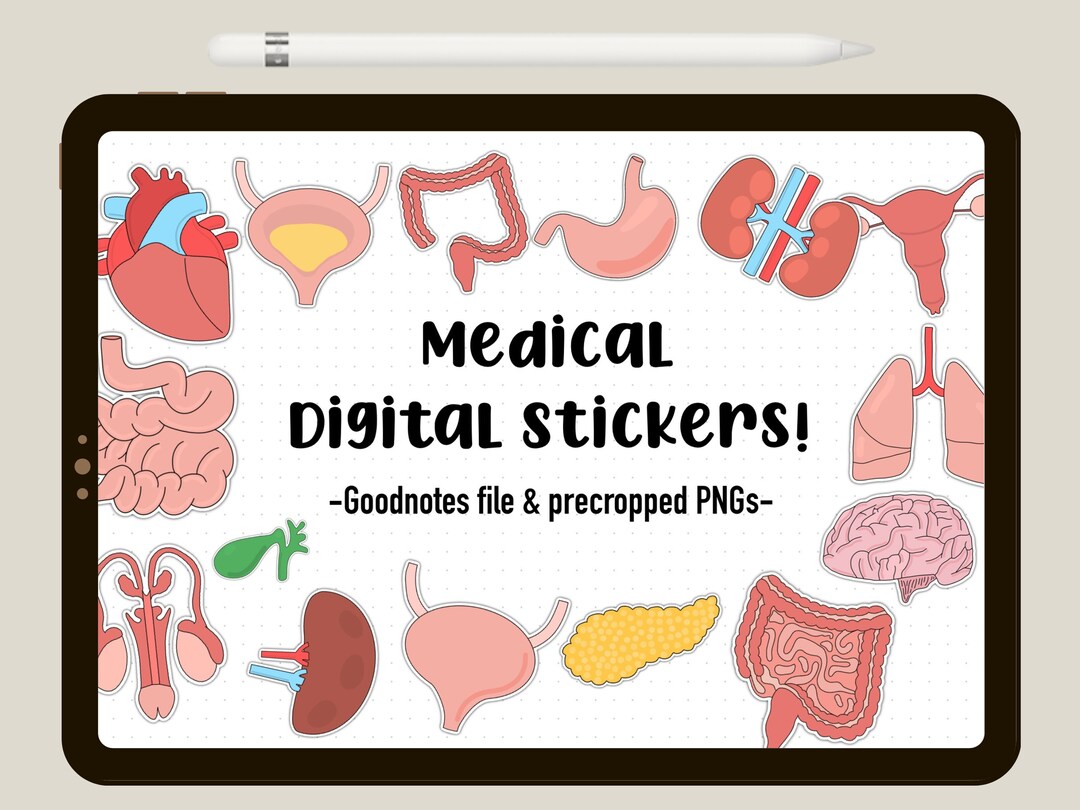 Hand Drawn Organs Medical Digital Stickers | Nurse Goodnotes Stickers ...