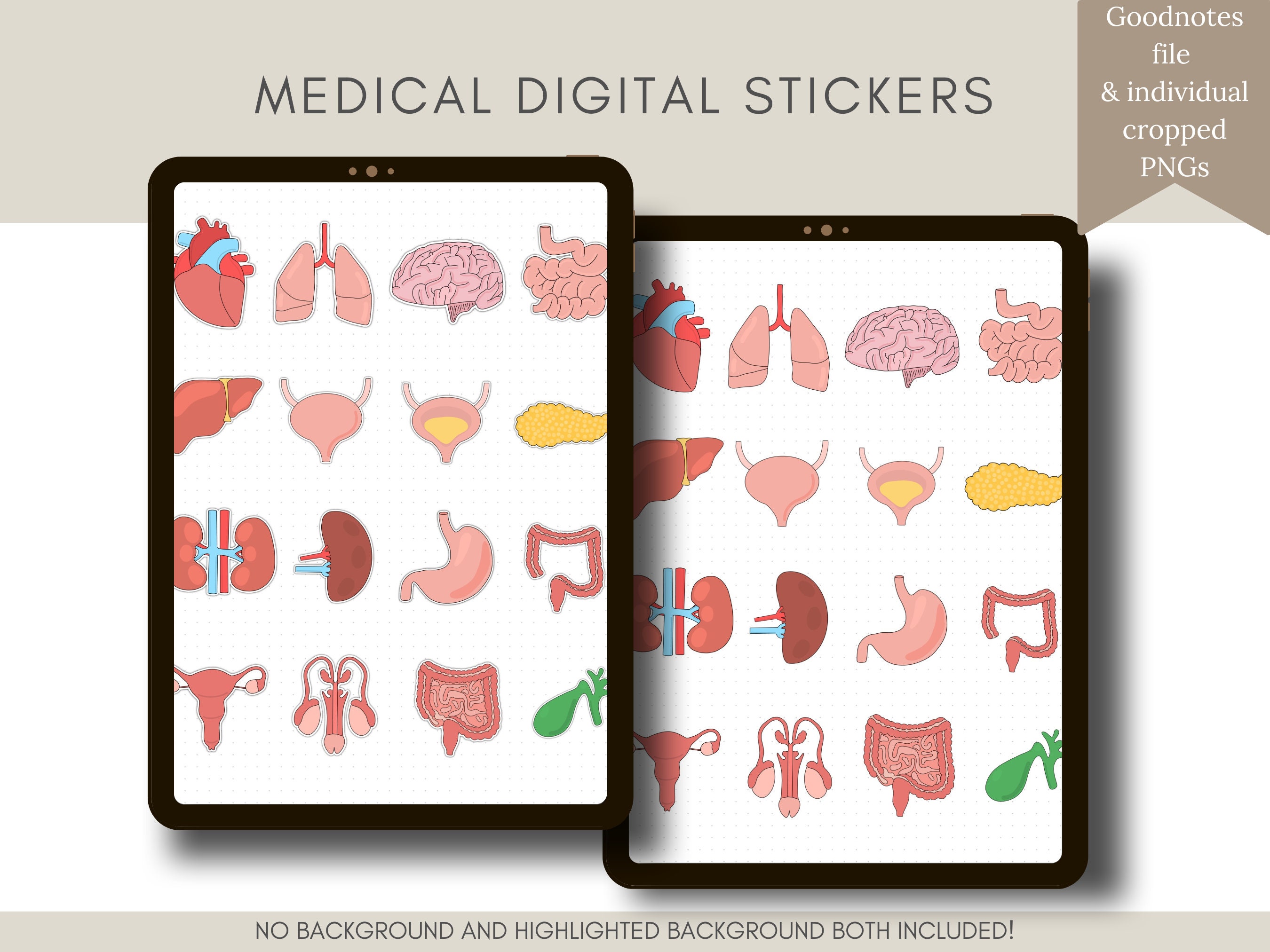 Hand Drawn Organs Medical Digital Stickers Nurse Goodnotes Stickers ...