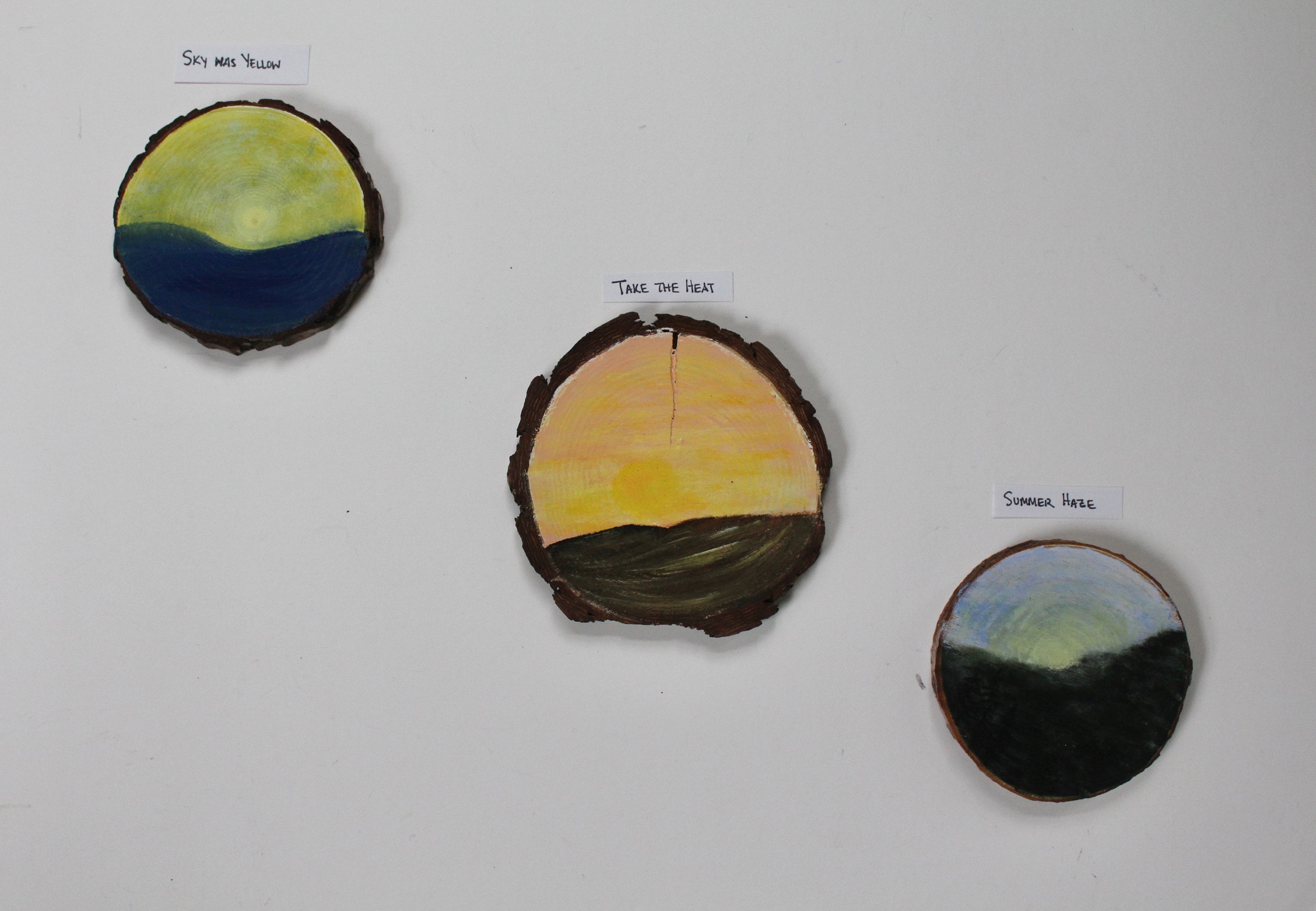 Hand-painted Wood Coasters - Nature-themed - Etsy