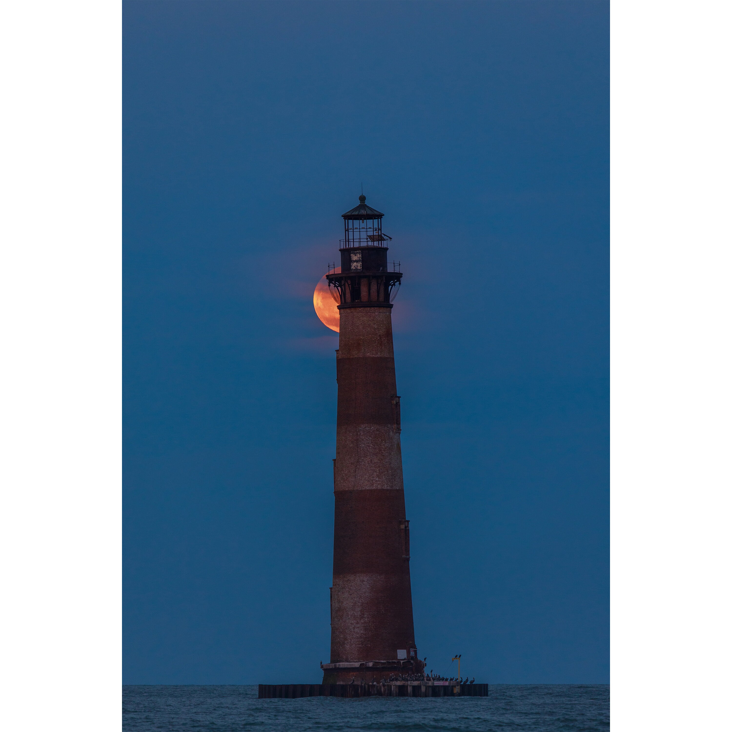 Flower Moon Transit Behind Morris Island Lighthouse, Charleston South ...