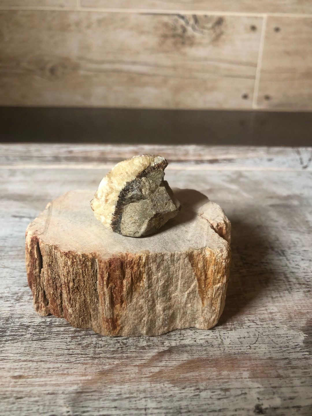 Raw Septarian Specimen, Natural, Dragon Stone, Crystal, Stone ...