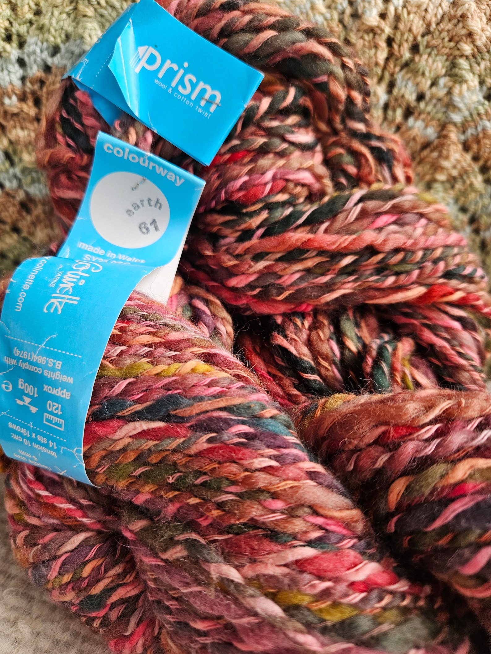 Colinette Prism Yarn Color Earth - Etsy