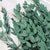 Winter Greenery Preserved Cedar Foliage / Cedar Greenery / Evergreen ...