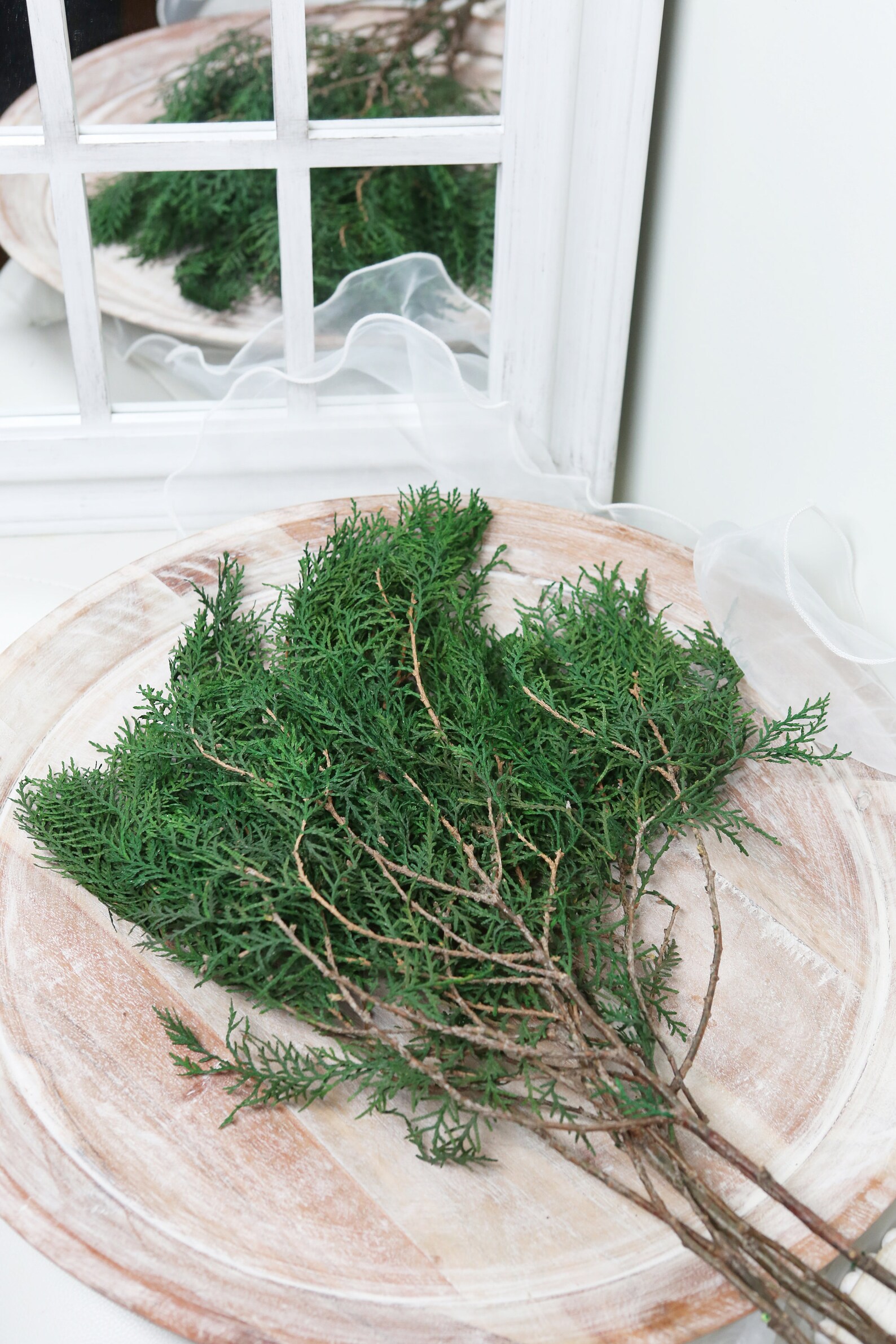 Winter Greenery Preserved Cedar Foliage / Cedar Greenery / - Etsy