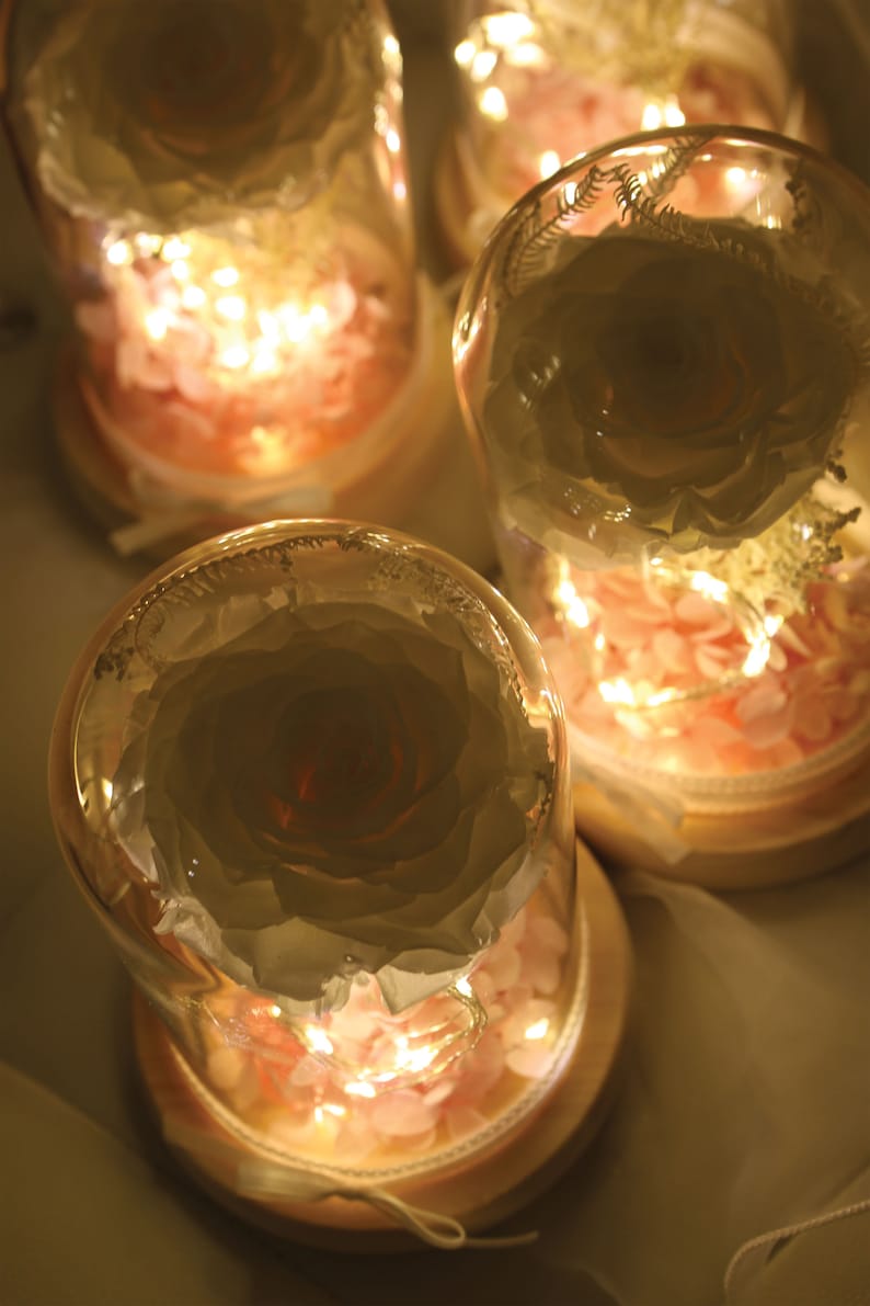 LED Glass Dome Tabletop Display Case Led Glass Dome Glass - Etsy