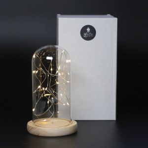 LED Glass Dome Tabletop Display Case | Flower Glass Dome | Preserved ...