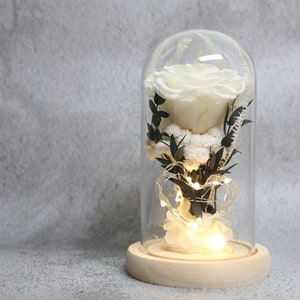 Preserved Flowers in Glass Dome | Flowers in Glass Dome | Glass Domes ...