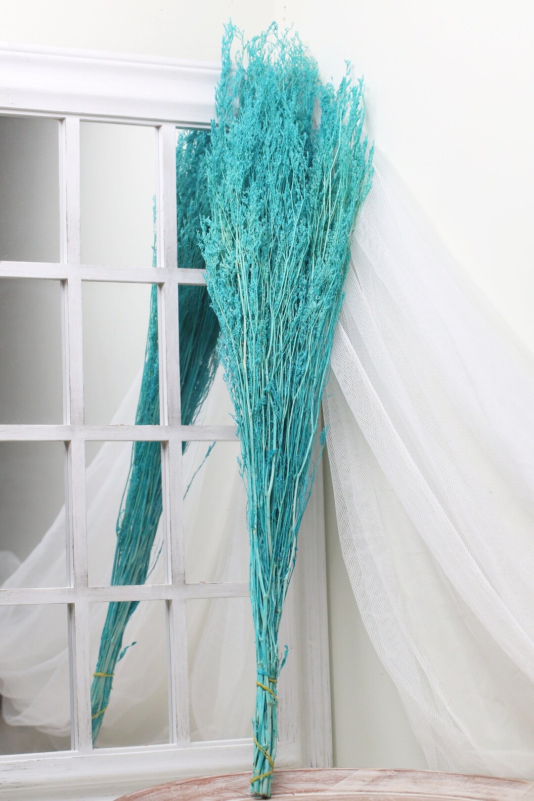 20g Preserved Caspia in Sky Blue Color, Wedding Decor, Home Decor, Diy ...