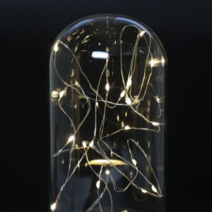 LED Glass Dome Tabletop Display Case | Flower Glass Dome | Preserved ...