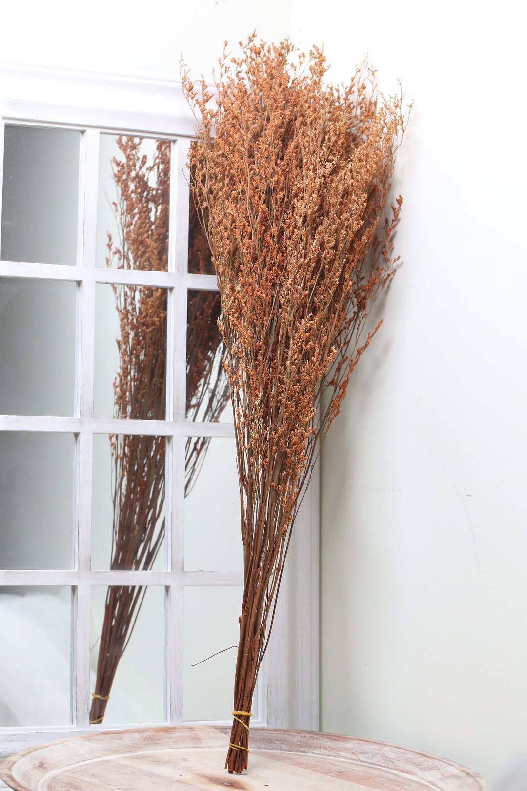 20g Preserved Caspia in Orange Color, Wedding Decor, Home Decor, Diy ...