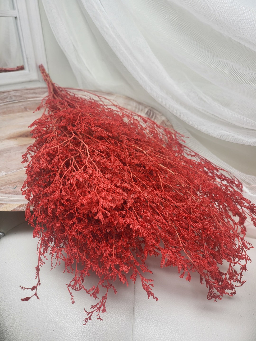 20g Preserved Caspia in Red Color, Wedding Decor, Home Decor, Diy ...