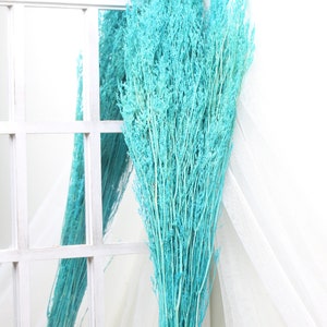 20g Preserved Caspia in Sky Blue Color, Wedding Decor, Home Decor, Diy ...