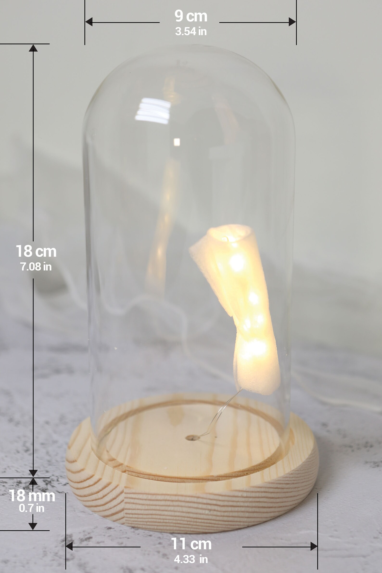 LED Glass Dome Tabletop Display Case | Flower Glass Dome | Preserved ...