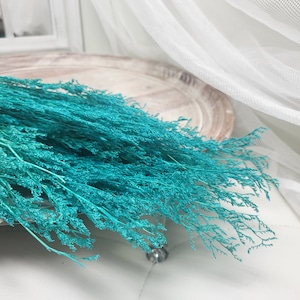 20g Preserved Caspia in Sky Blue Color, Wedding Decor, Home Decor, Diy ...