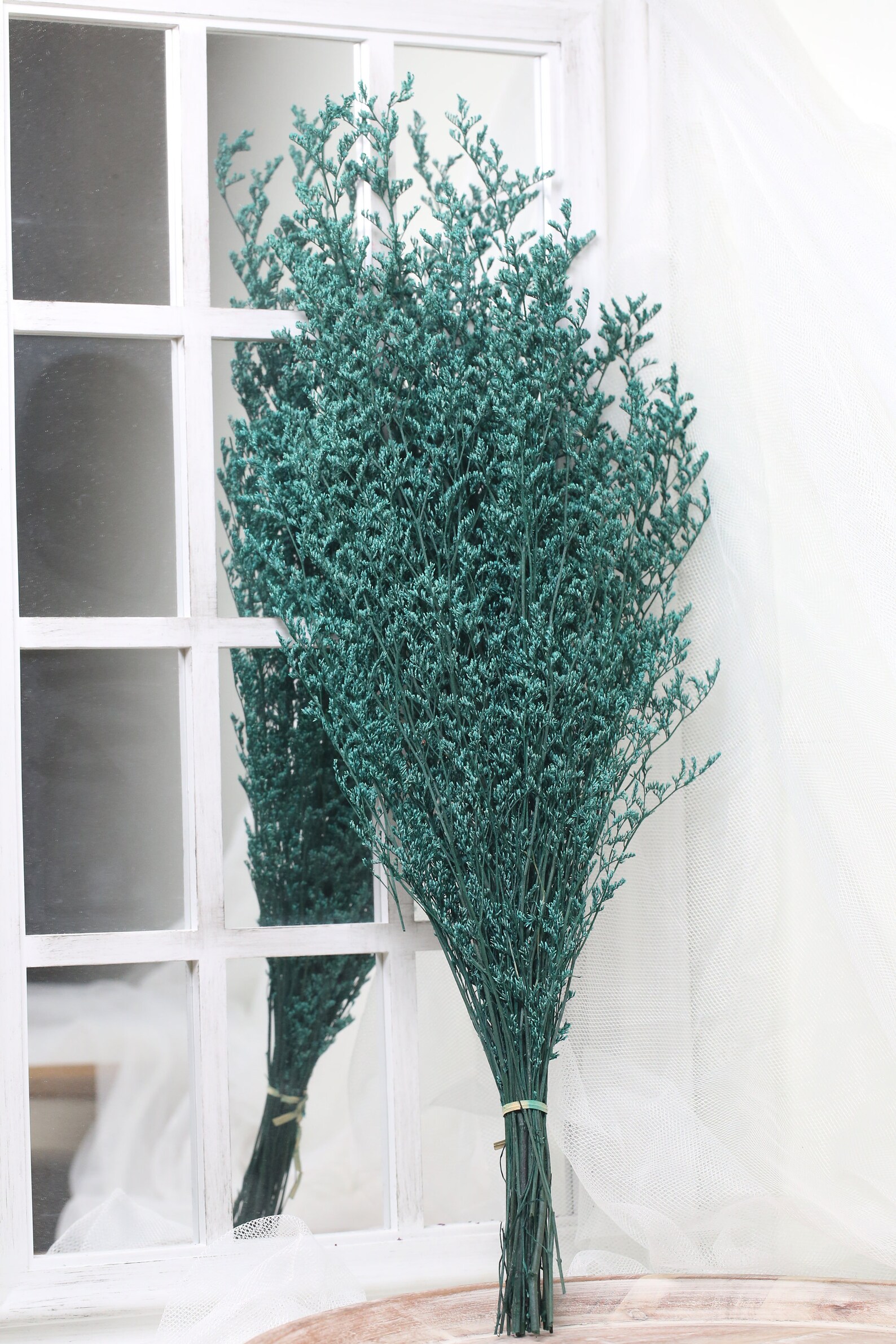 20g Preserved Caspia in Blue-green Color, Wedding Decor, Home Decor ...
