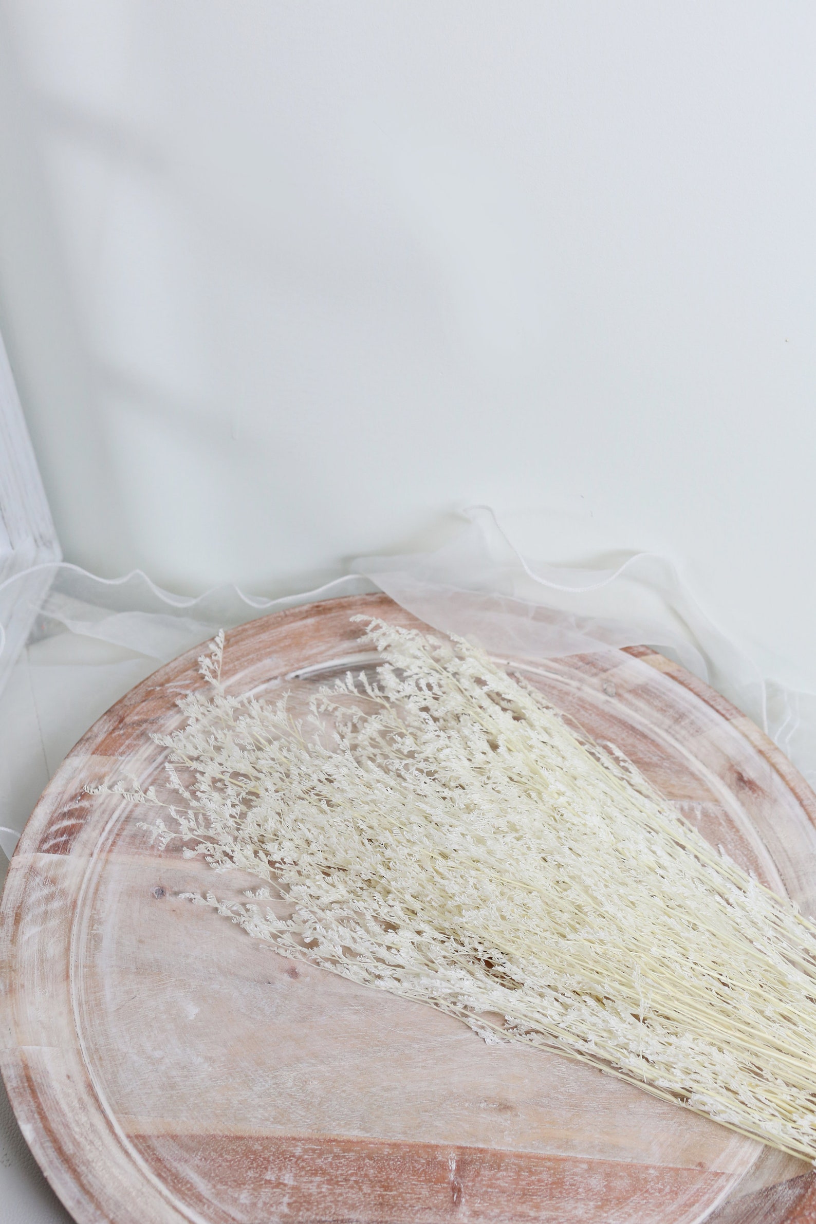 20g Preserved Caspia in White Color, Wedding Decor, Home Decor, Diy ...