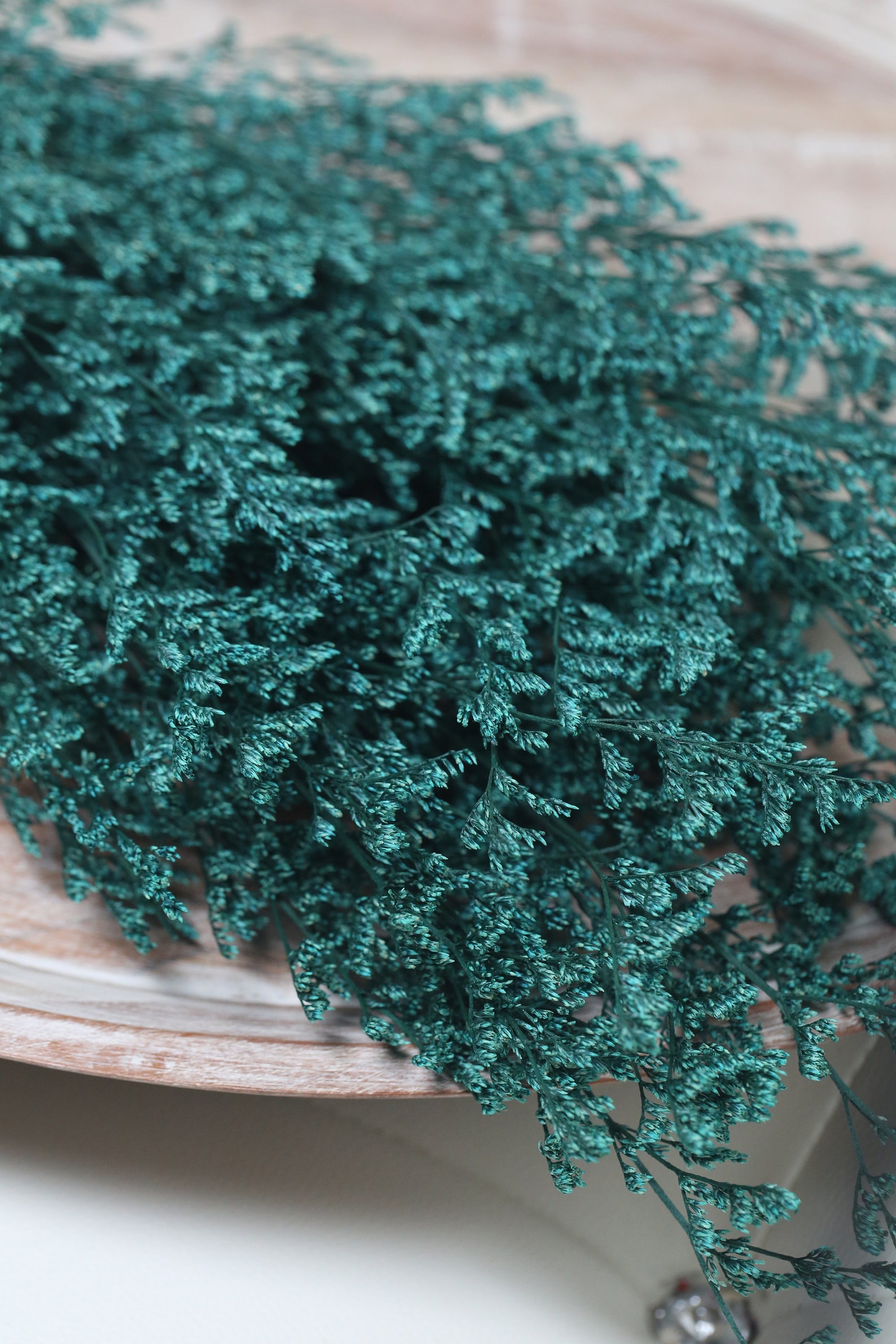 20g Preserved Caspia in Blue-green Color, Wedding Decor, Home Decor ...