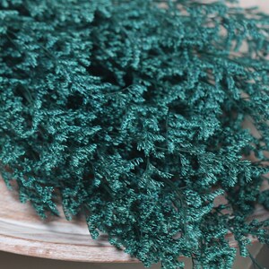 20g Preserved Caspia in Blue-green Color, Wedding Decor, Home Decor ...