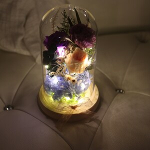 LED Glass dome Tabletop Display Case | Etsy