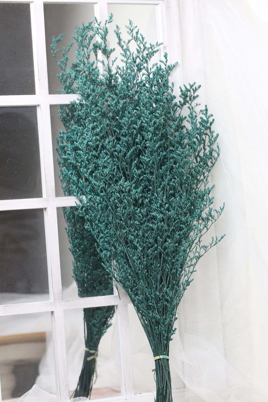 20g Preserved Caspia in Blue-green Color, Wedding Decor, Home Decor ...