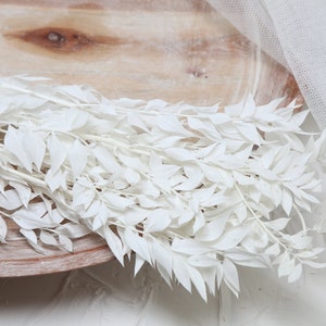 Preserved Ruscus in off White Pack, DIY Floral Arrangements, DIY Home ...