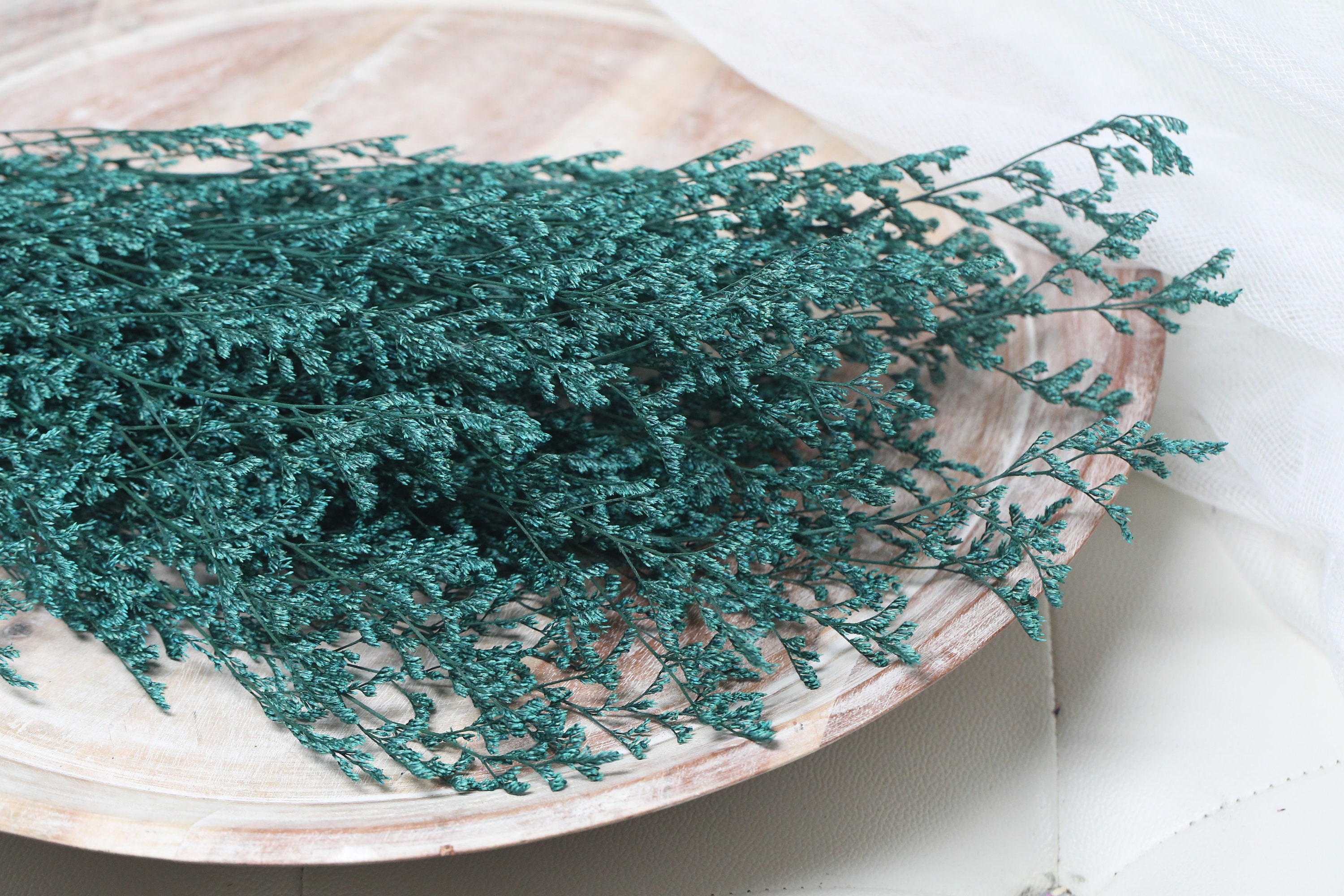 20g Preserved Caspia in Blue-green Color, Wedding Decor, Home Decor ...