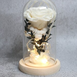 Preserved Flowers in Glass Dome | Flowers in Glass Dome | Glass Domes ...