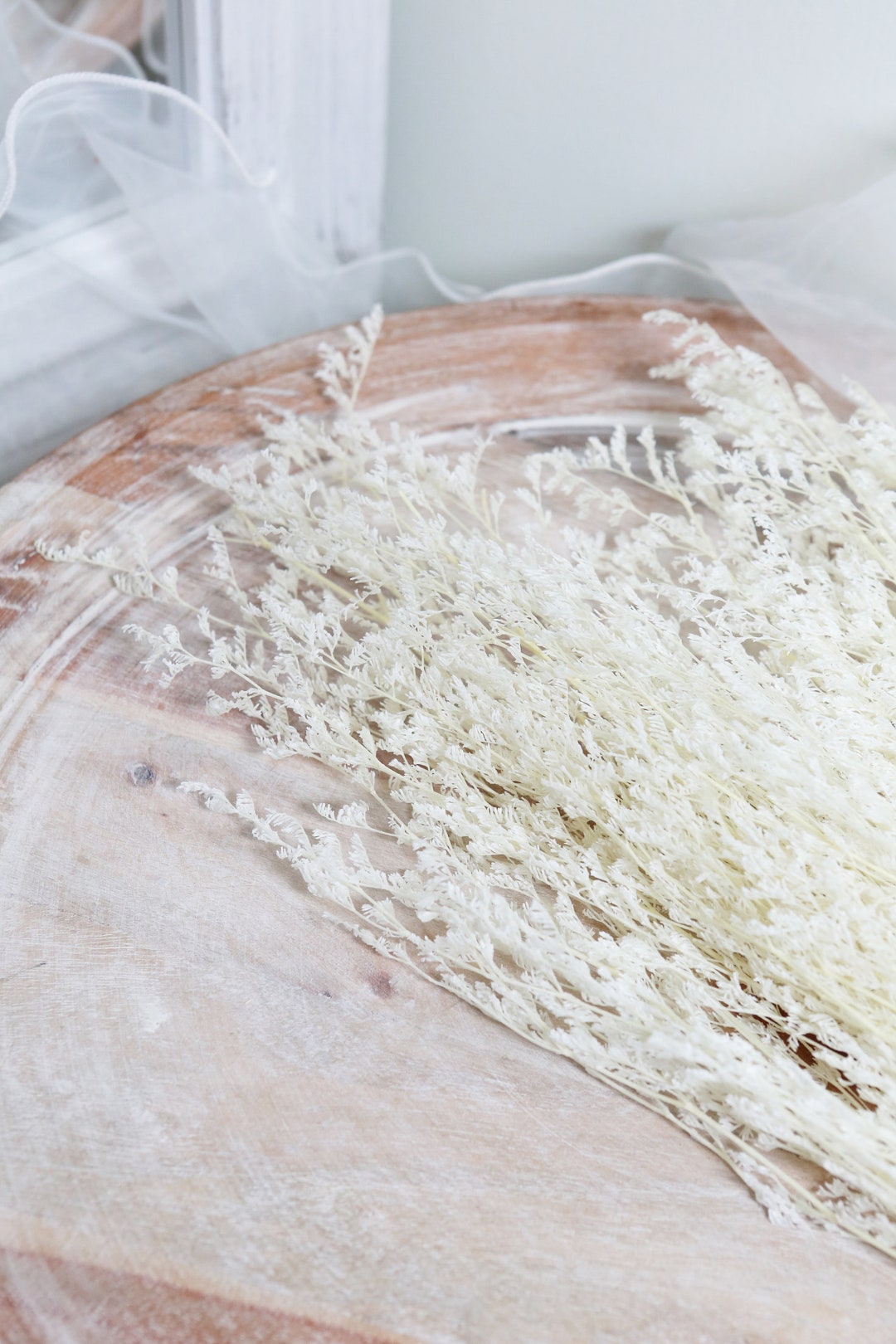 20g Preserved Caspia in White Color, Wedding Decor, Home Decor, Diy ...
