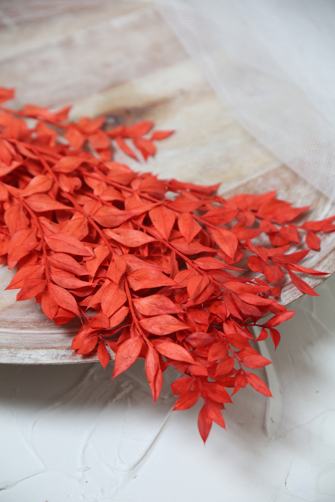Preserved Ruscus in off Red Pack, DIY Floral Arrangements, DIY Home ...