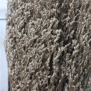 20g Preserved Caspia in Natural Color, Wedding Décor, Home Décor, DIY ...