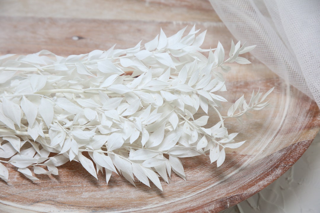 Preserved Ruscus in off White Pack, DIY Floral Arrangements, DIY Home ...