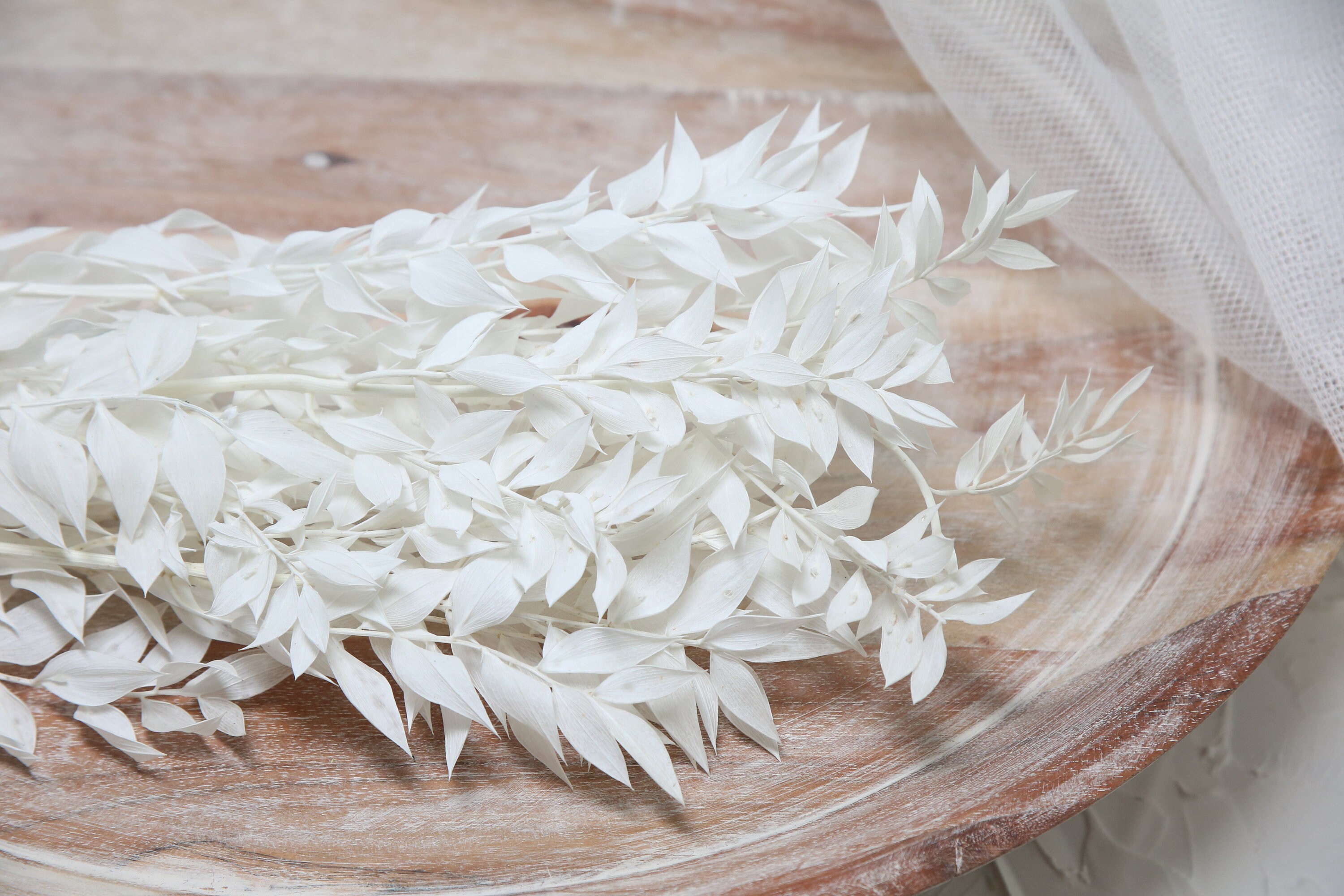 Preserved Ruscus in off White Pack, DIY Floral Arrangements, DIY Home ...