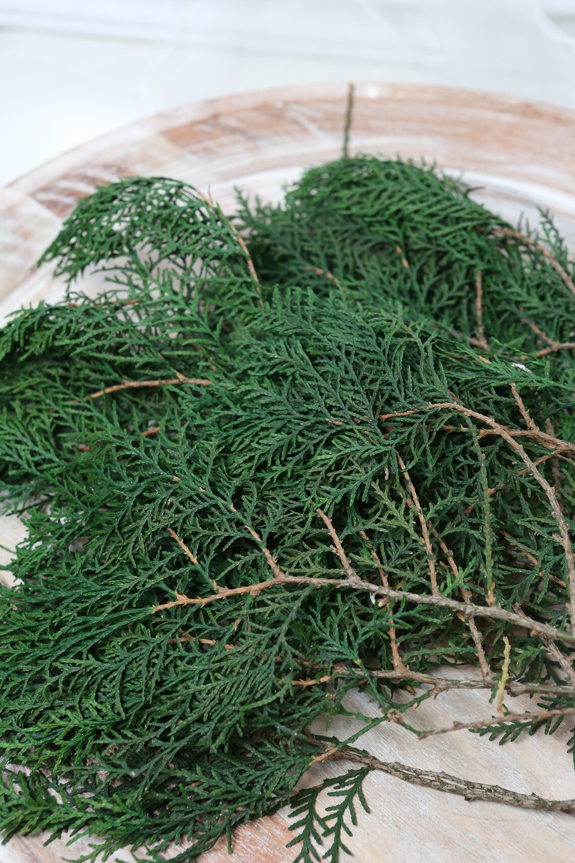 Winter Greenery Preserved Cedar Foliage / Cedar Greenery / - Etsy
