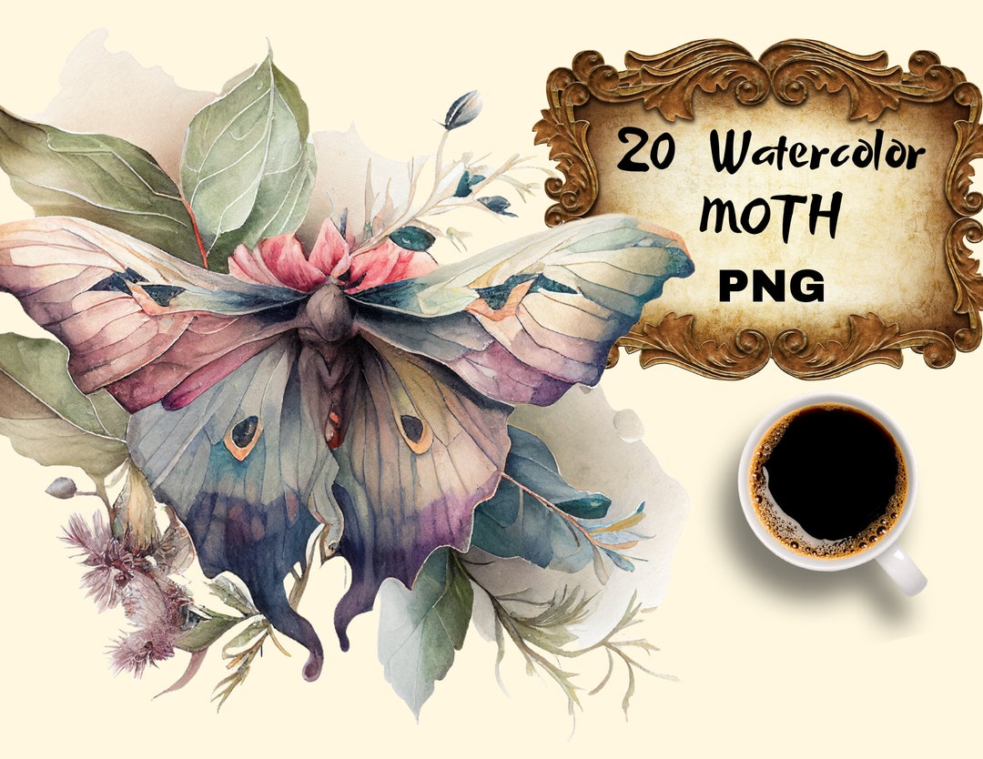 20 X Watercolor Floral Moth PNG Clipart Moth Clip Art Moth - Etsy