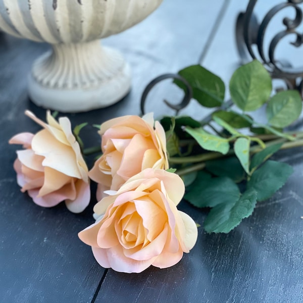 Life Like Roses - Etsy