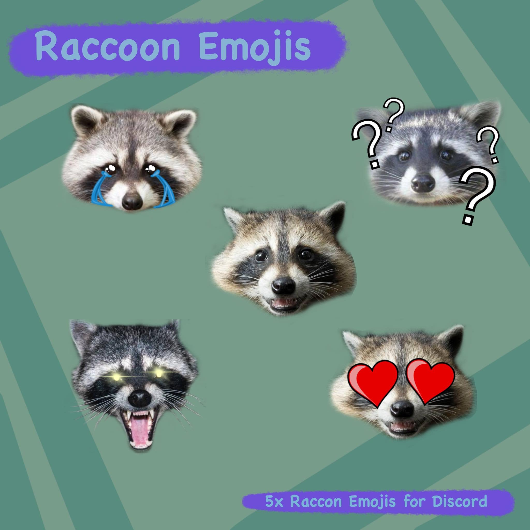 Raccoon Discord Emojis Etsy