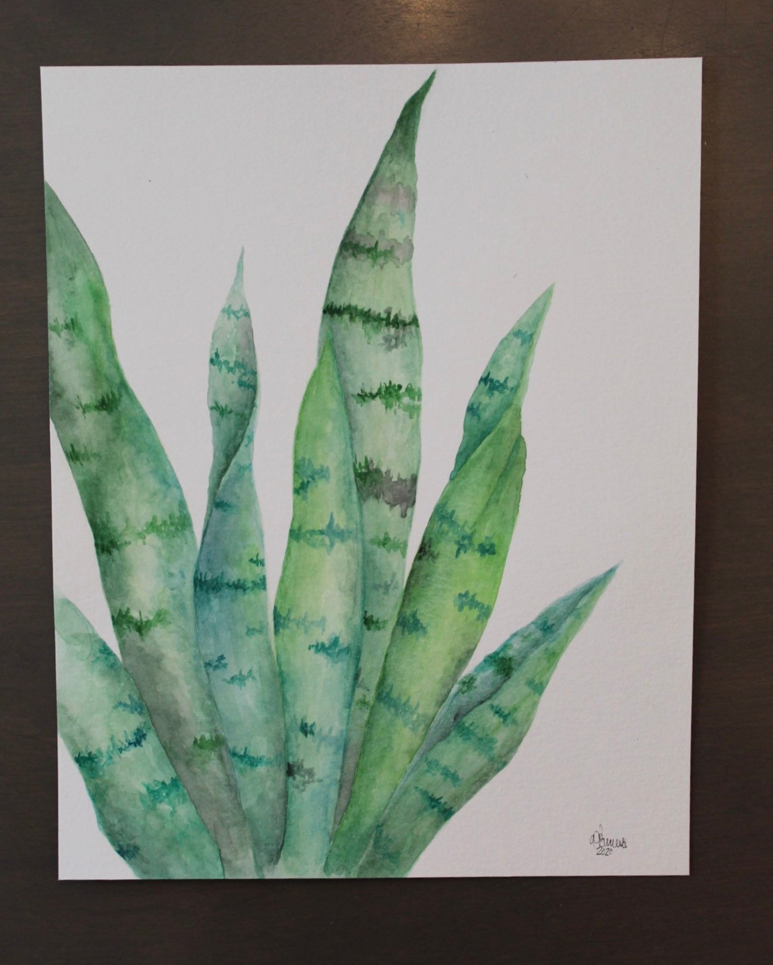 Snake Plant Painting, Framed - Etsy