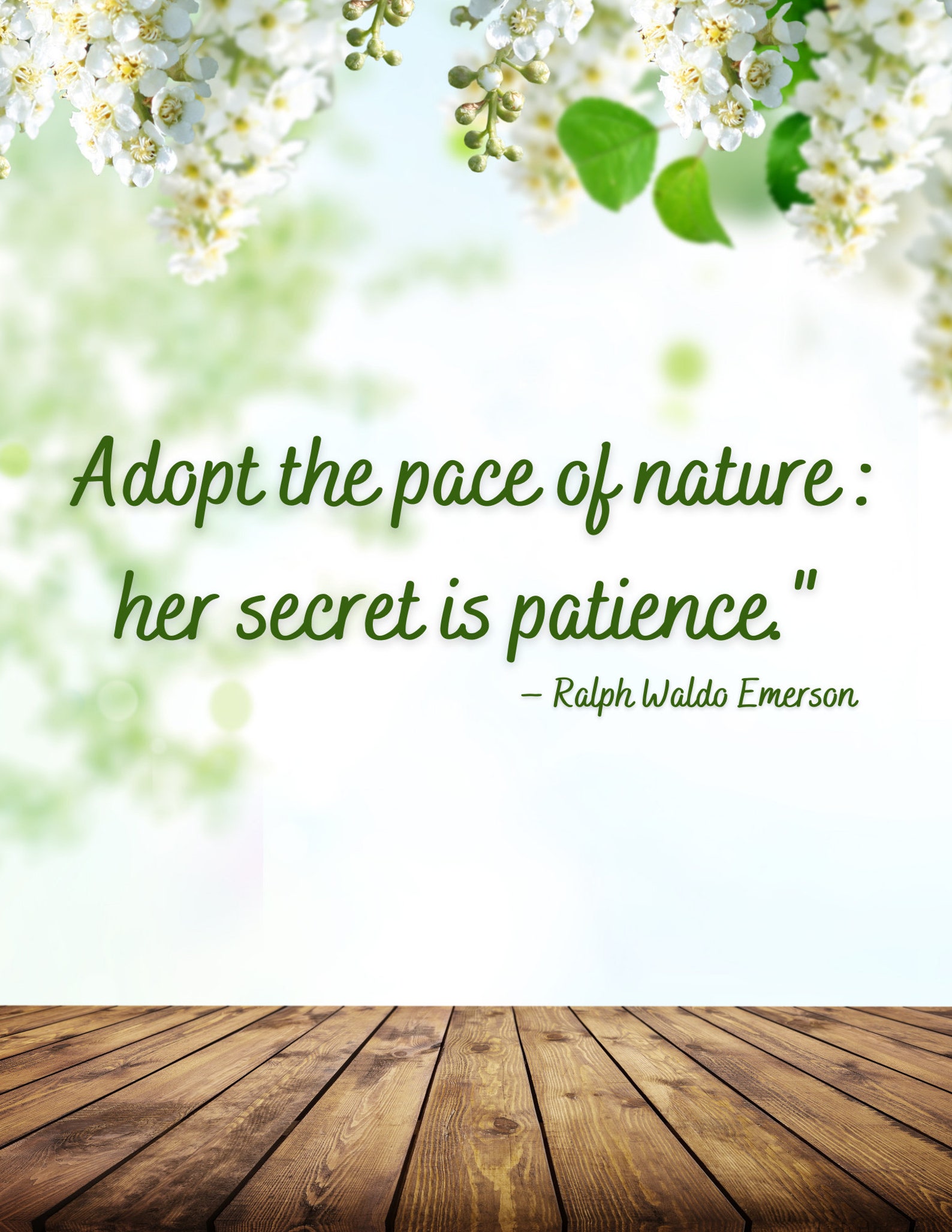 Plants, Quotes, Printable, Download, Decor, Wall, Home, Inspiration ...