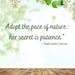 Plants, Quotes, Printable, Download, Decor, Wall, Home, Inspiration ...