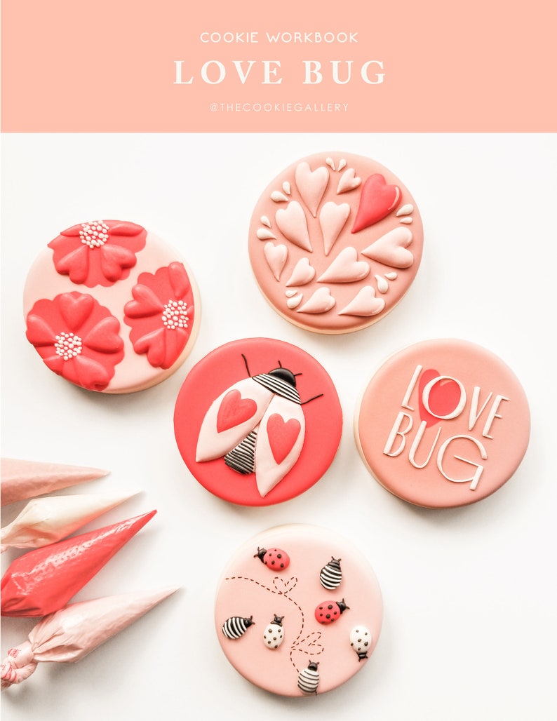 Love Bug Valentines Day Workbook - Etsy