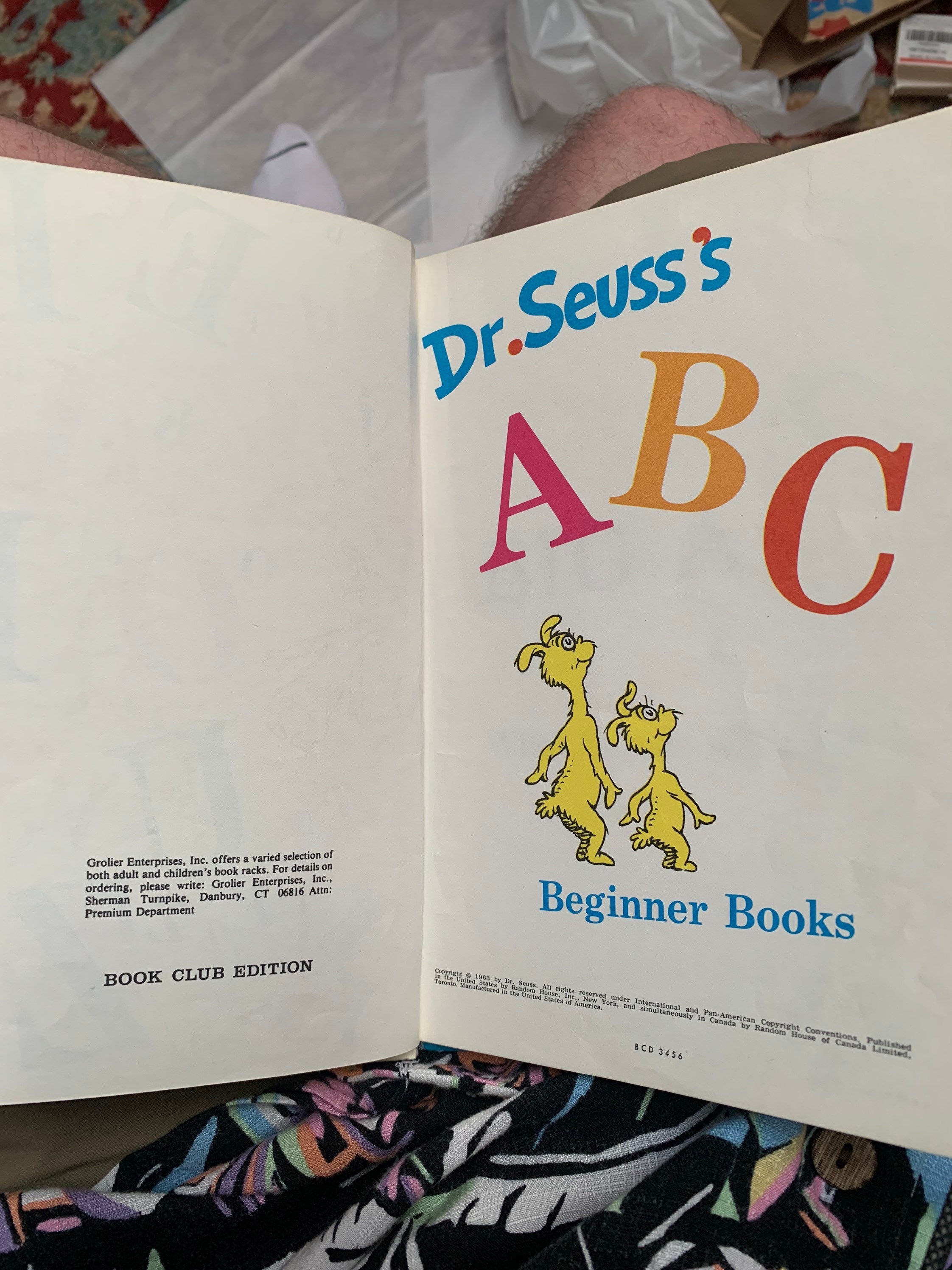 Vintage 1963 first Edition/second Printing Dr. Seusss ABC Beginner ...