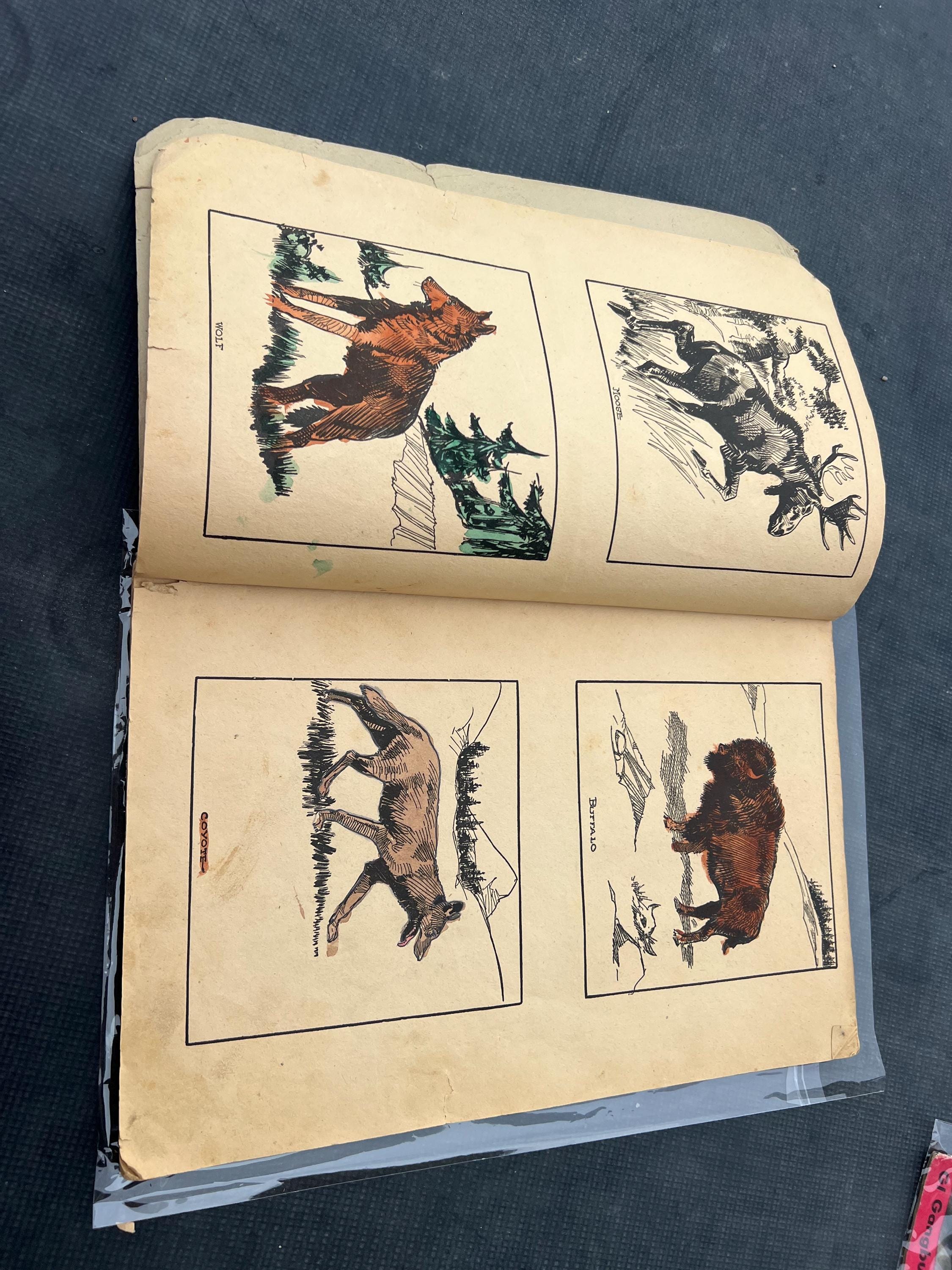 C. 1918- Antique Wwi-era “all America” Painting and Game Book ...