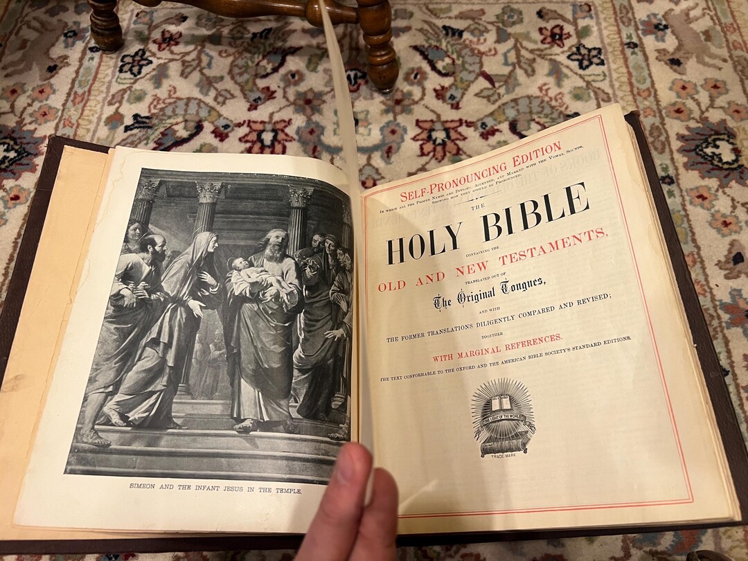 1892 Self-pronouncing Edition of the Holy Bible, Titled “the Light of ...
