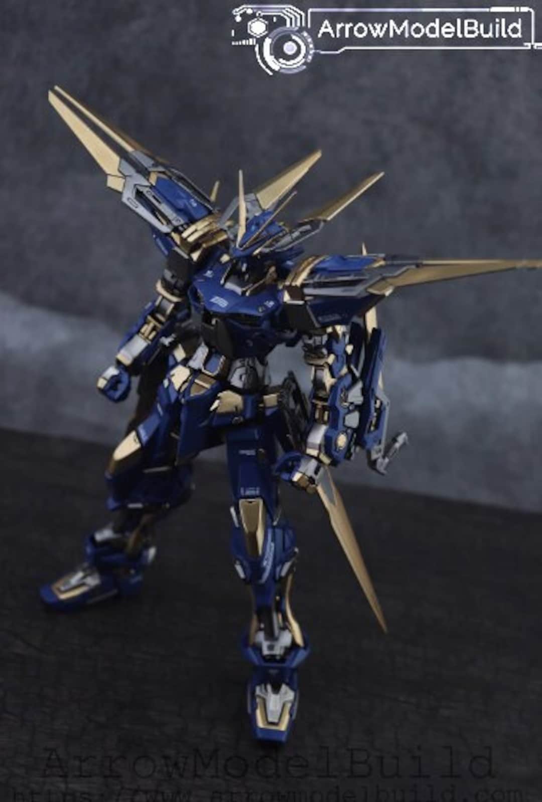 Arrowmodelbuild Astray Blue Frame custom Color Built & Painted MG 1/100 ...