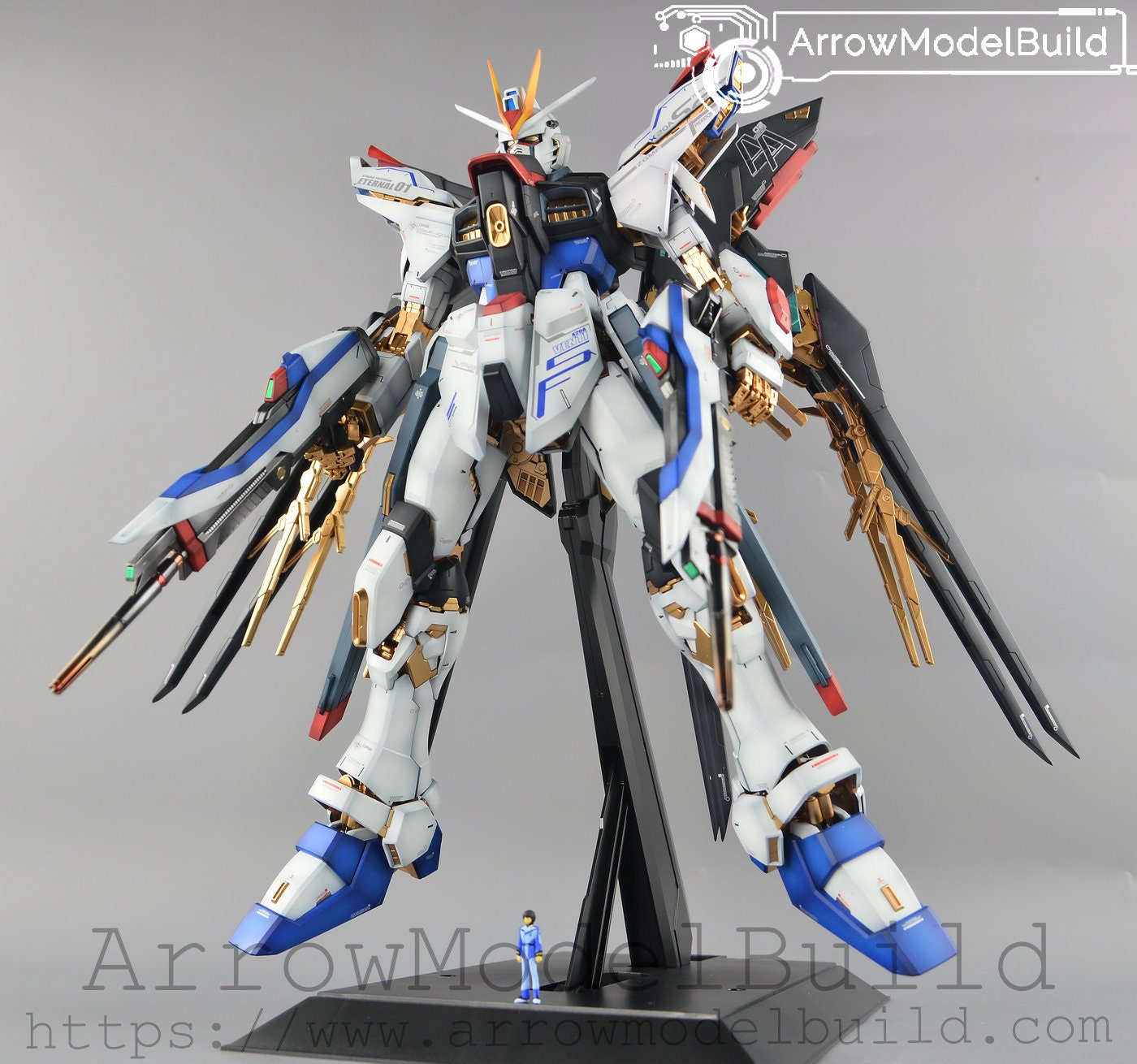 Arrowmodelbuild Strike Freedom Gundam Built & Painted PG 1/60 - Etsy