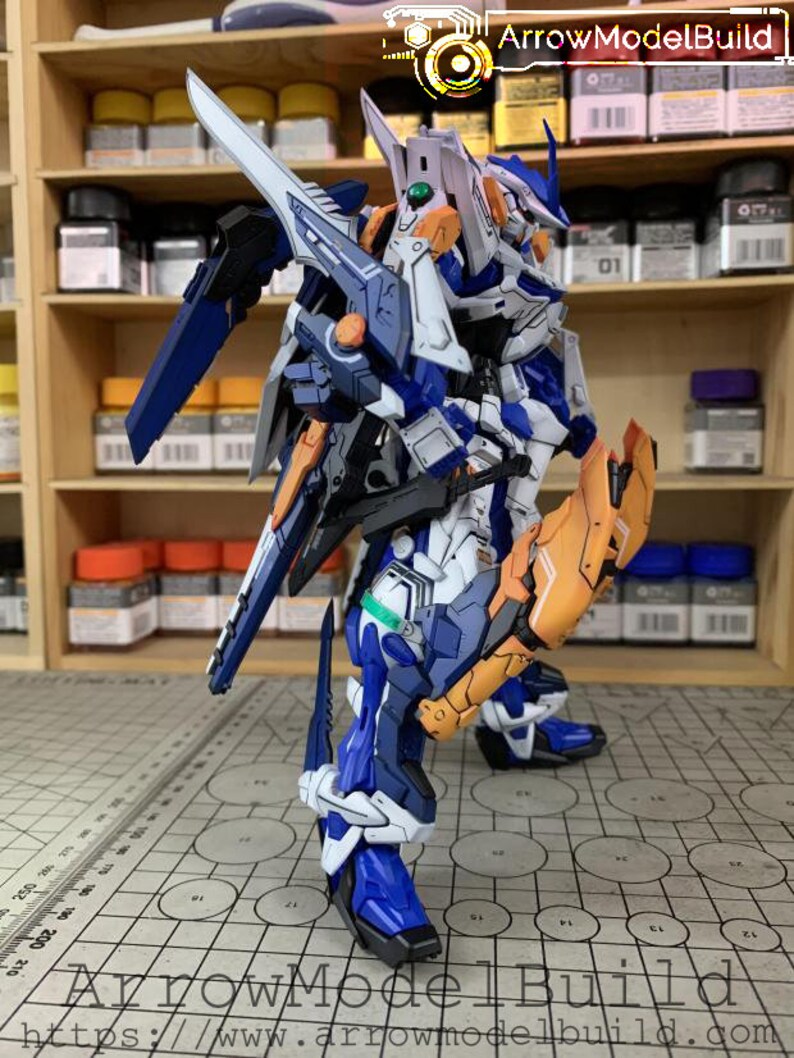 Arrowmodelbuild Astray Blue Frame Type D Built & Painted MG 1/100 Model ...