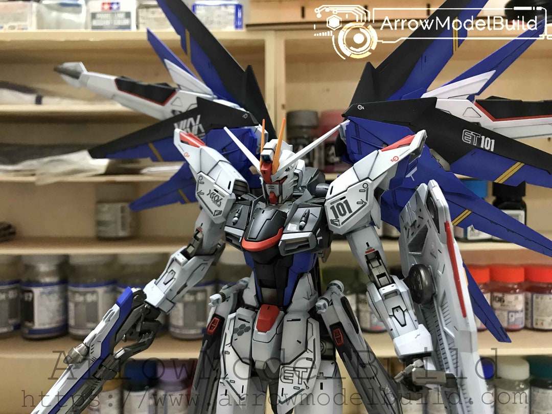 Arrowmodelbuild Freedom Gundam Ver 2.0 Built & Painted MG 1/100 Model ...