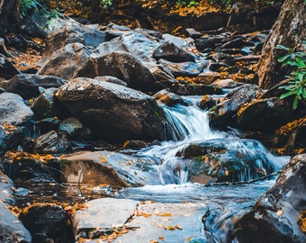 Autumnal Bliss by the River Fall Trees Digital Art FR-054 - Etsy