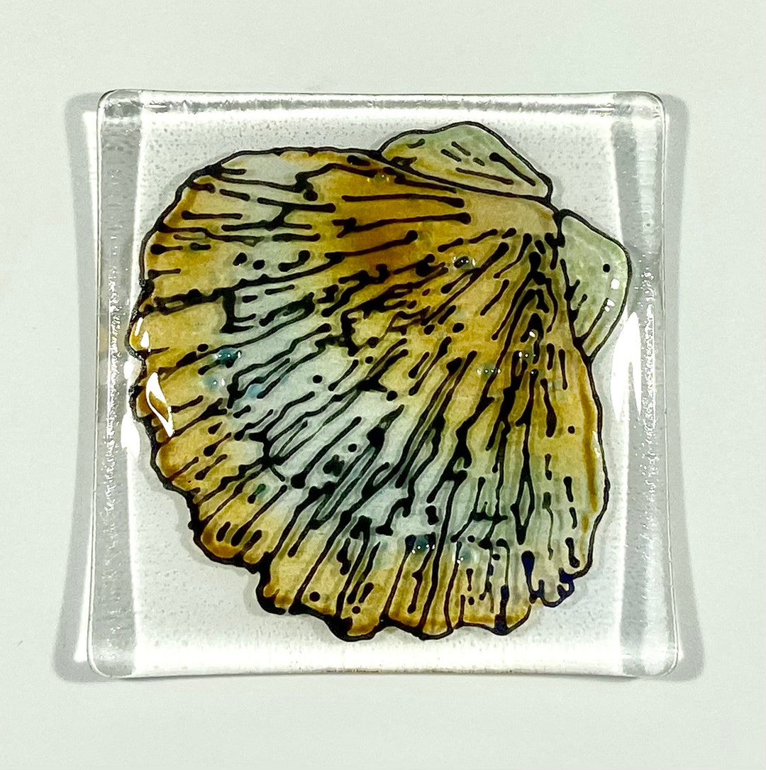 Hand Painted Fused Scallop Shell Dish - Etsy
